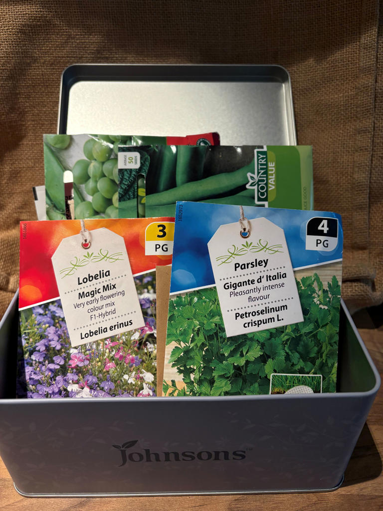 Experts weigh in on whether or not you should use out-of-date seeds