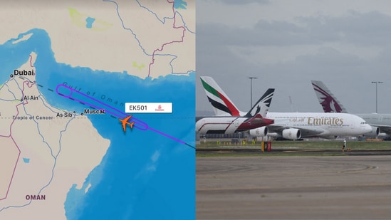 Dubai-bound Emirates flight from India makes rare double reverse after ...