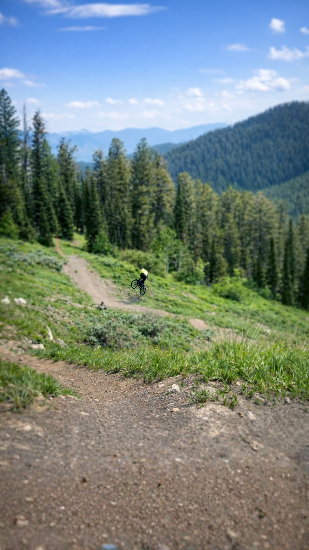 Effortless mountain bike flow on the trails