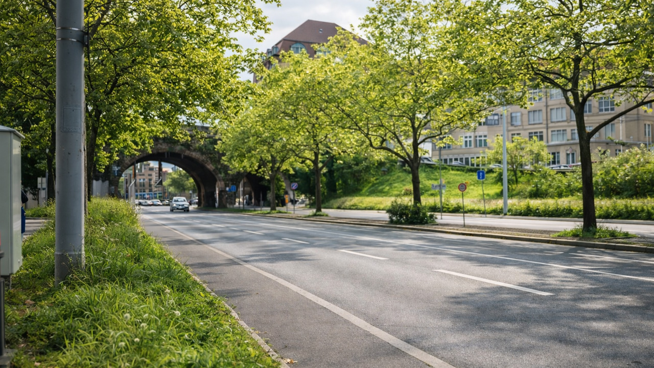 A calm summer walk in Zurich