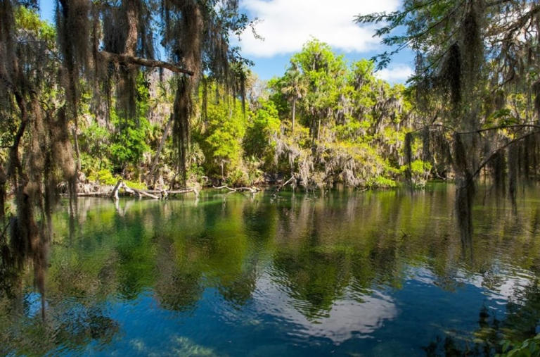 Body of missing Central Florida swimmer recovered from St. Johns River