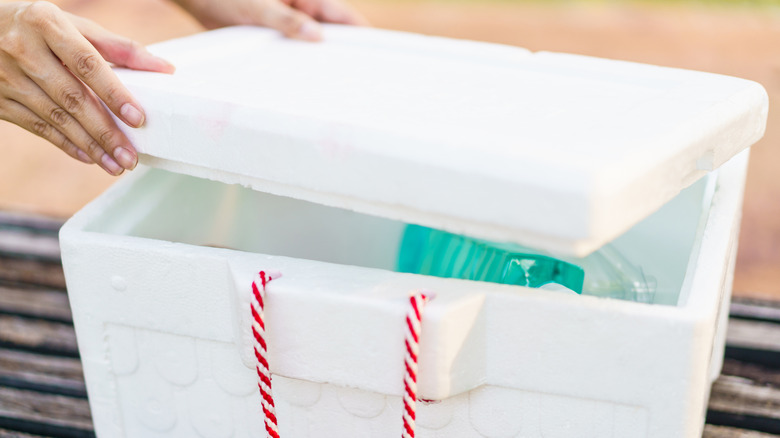 Turn an old cooler into an incredible DIY water feature for your garden