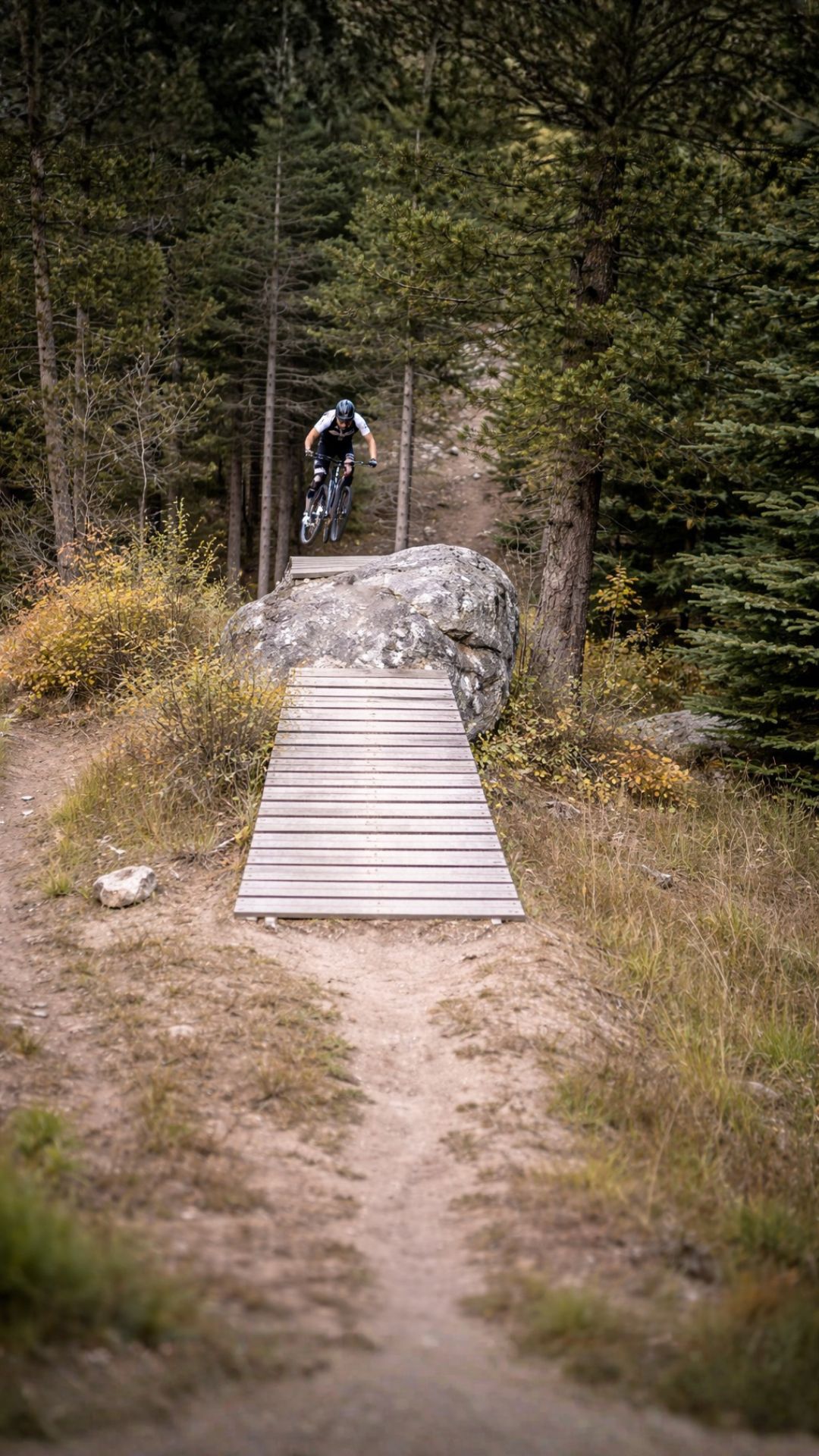 Effortless mountain bike flow on the trails