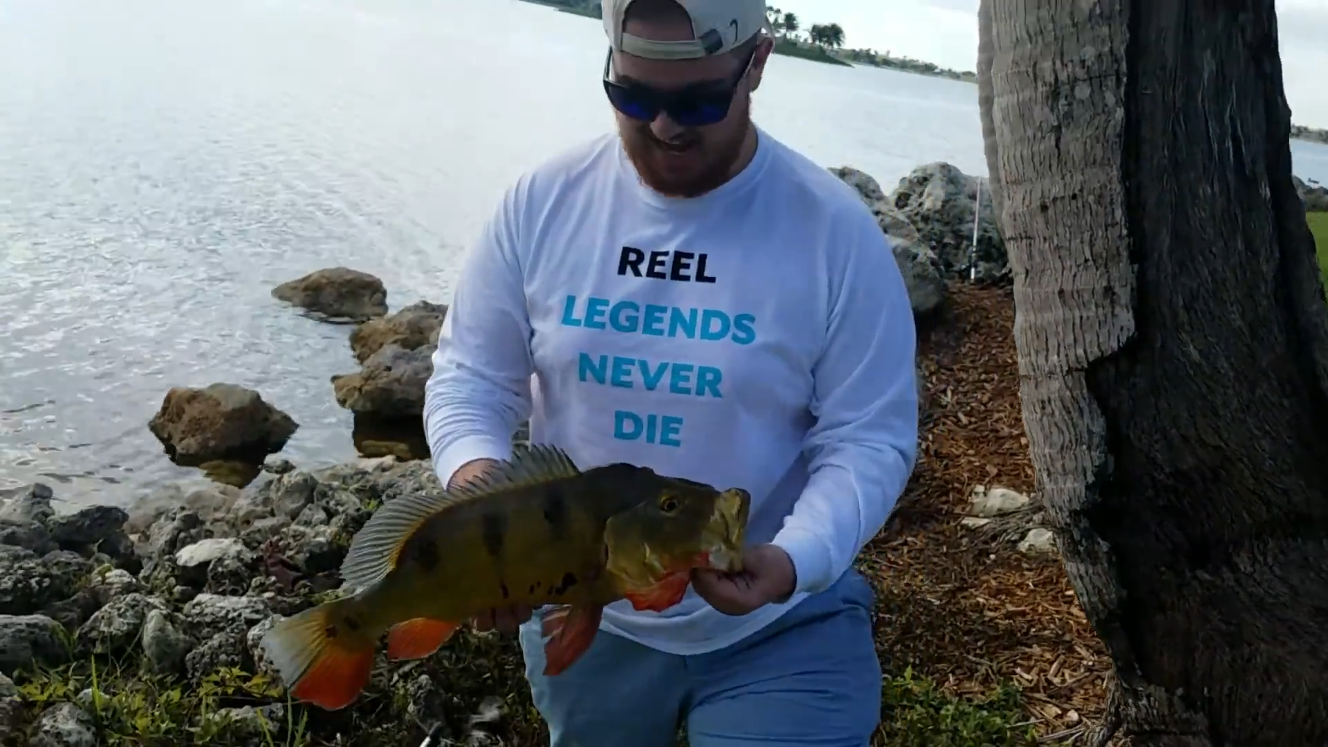 Micro fishing for big colorful exotics in crystal-clear water