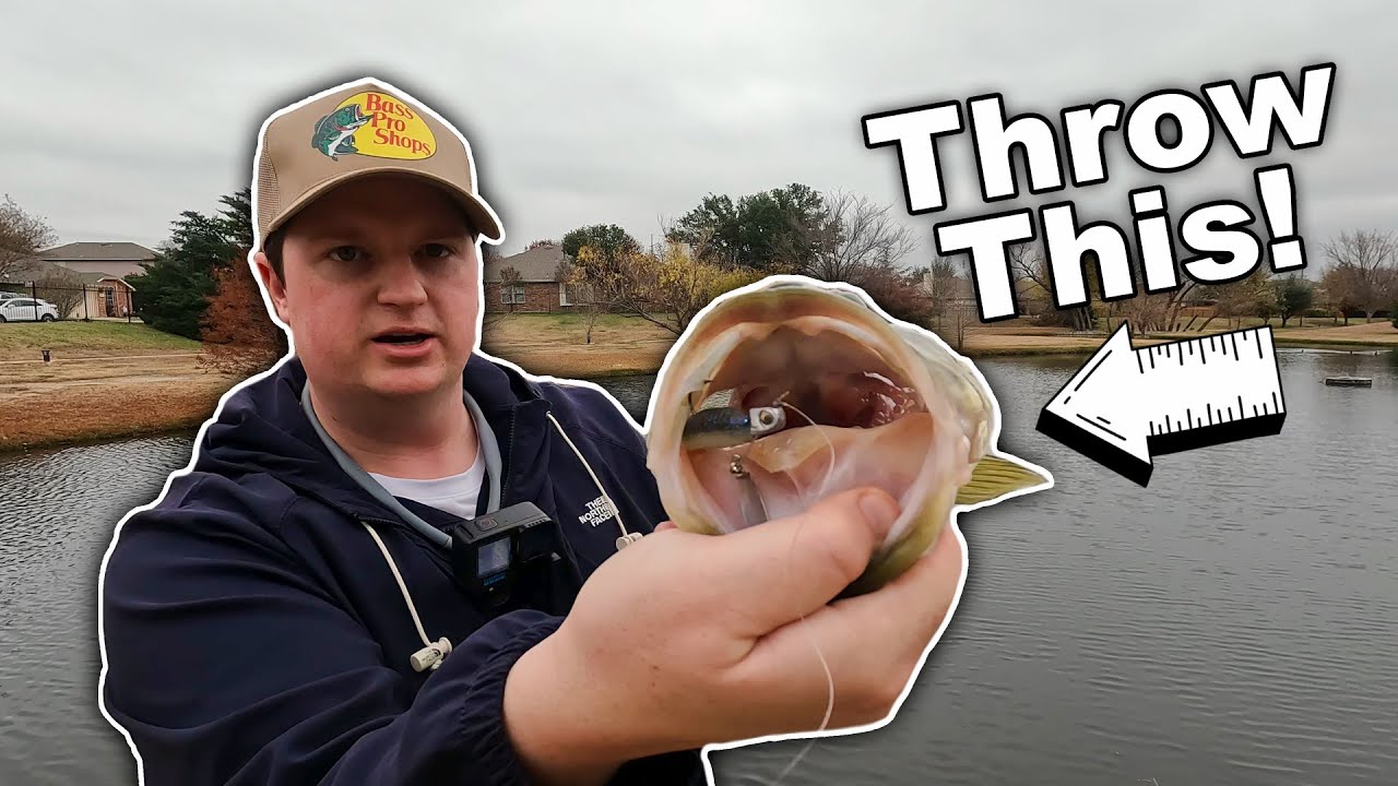 Essential bass fishing tackle for every angler