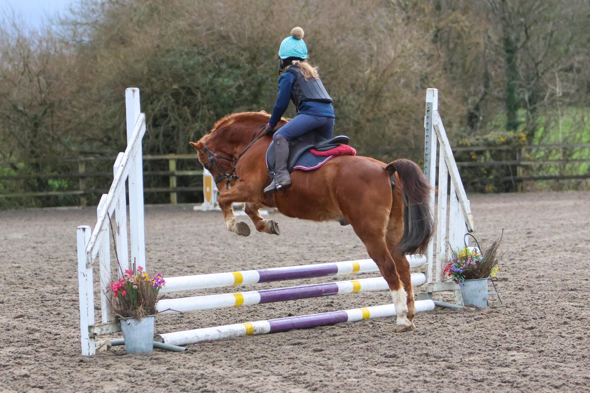Horse Week: Schools showjumping Balmoral qualifier hosted at Danescroft ...