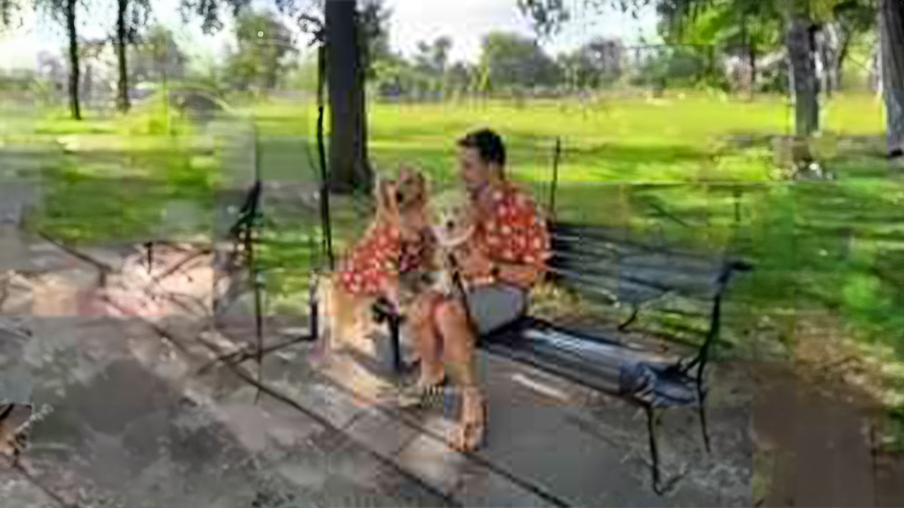 Matching outfits with my golden retrievers