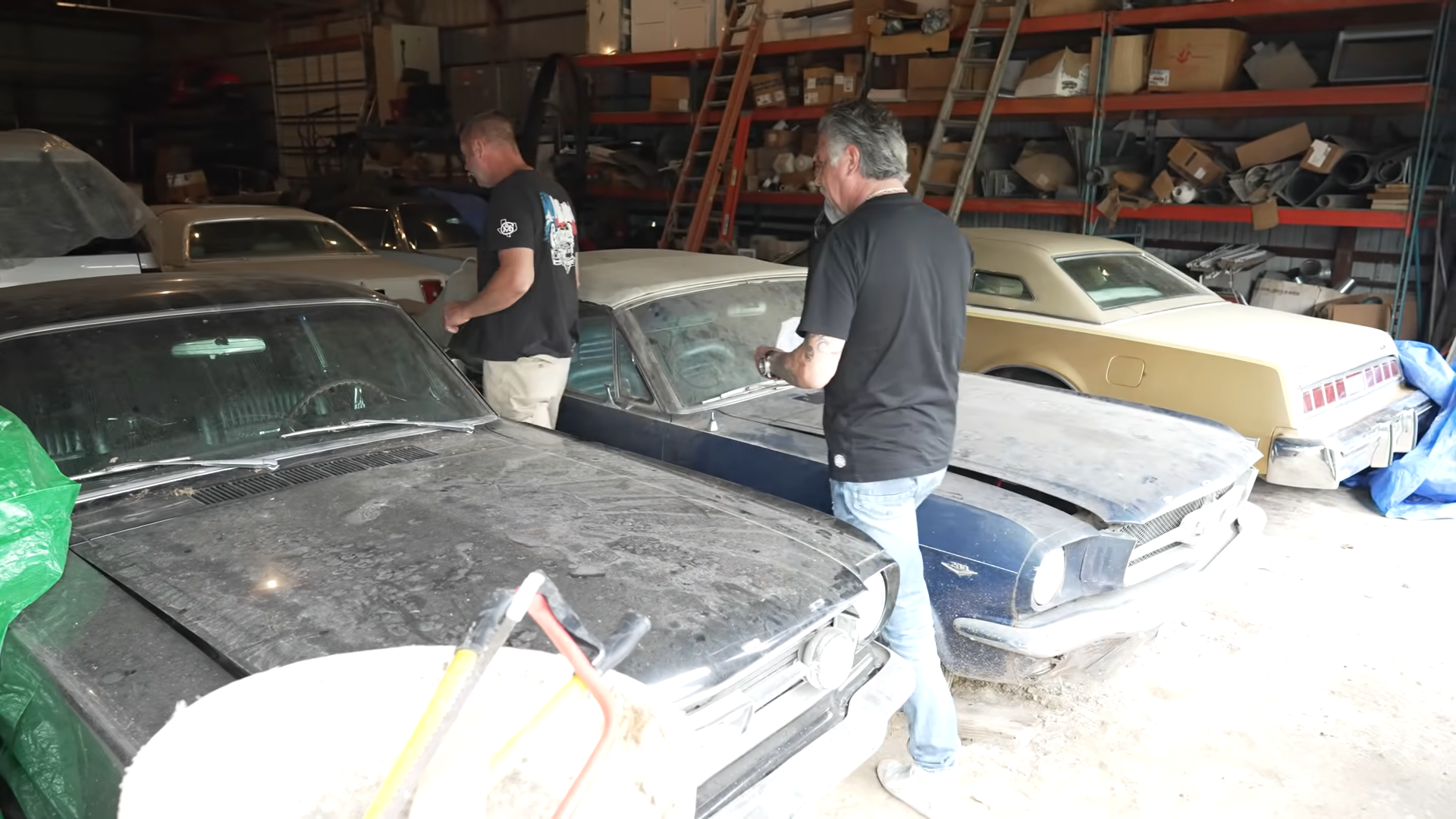 This might be the biggest barn find ever - 60+ cars
