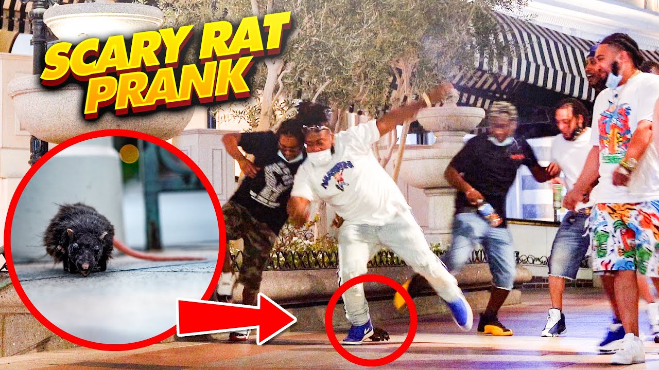 The scary rat prank that caught everyone off guard
