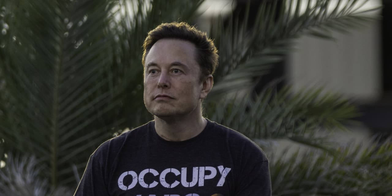 SpaceX’s stock could trade like Tesla 'on steroids' after its IPO ...