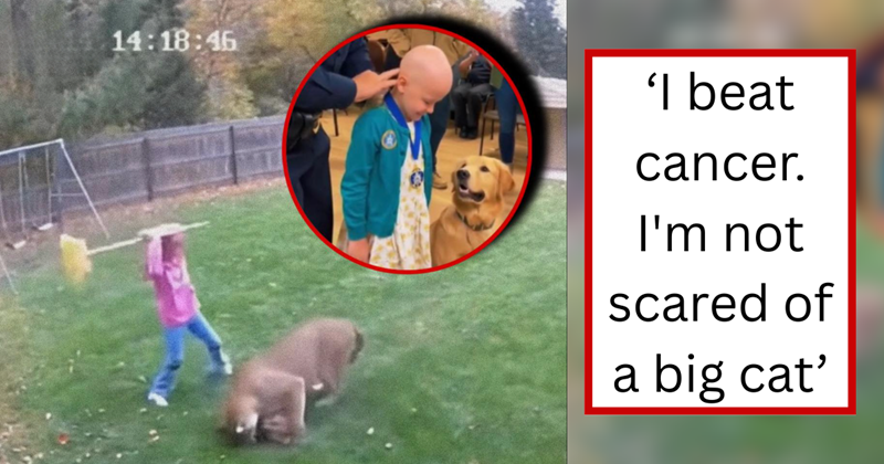 'You won't hurt my dog!': 8-year-old cancer survivor saves her golden ...