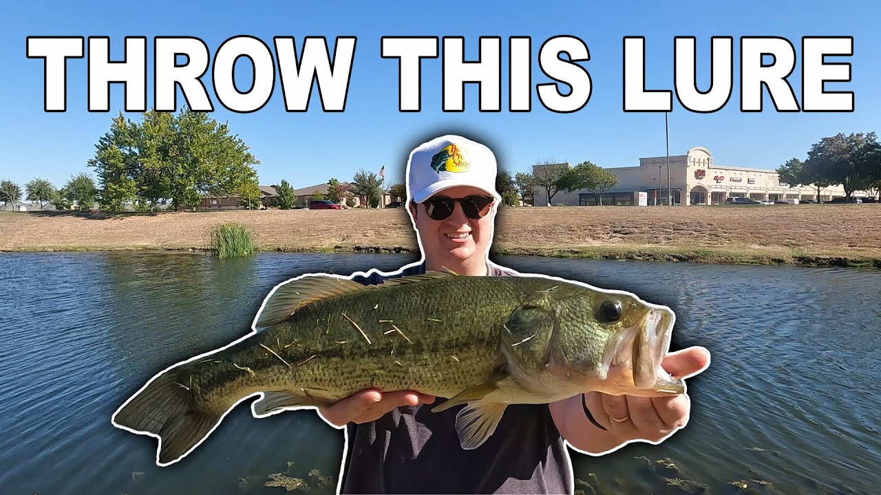 The ultimate bass fishing lures for pond anglers