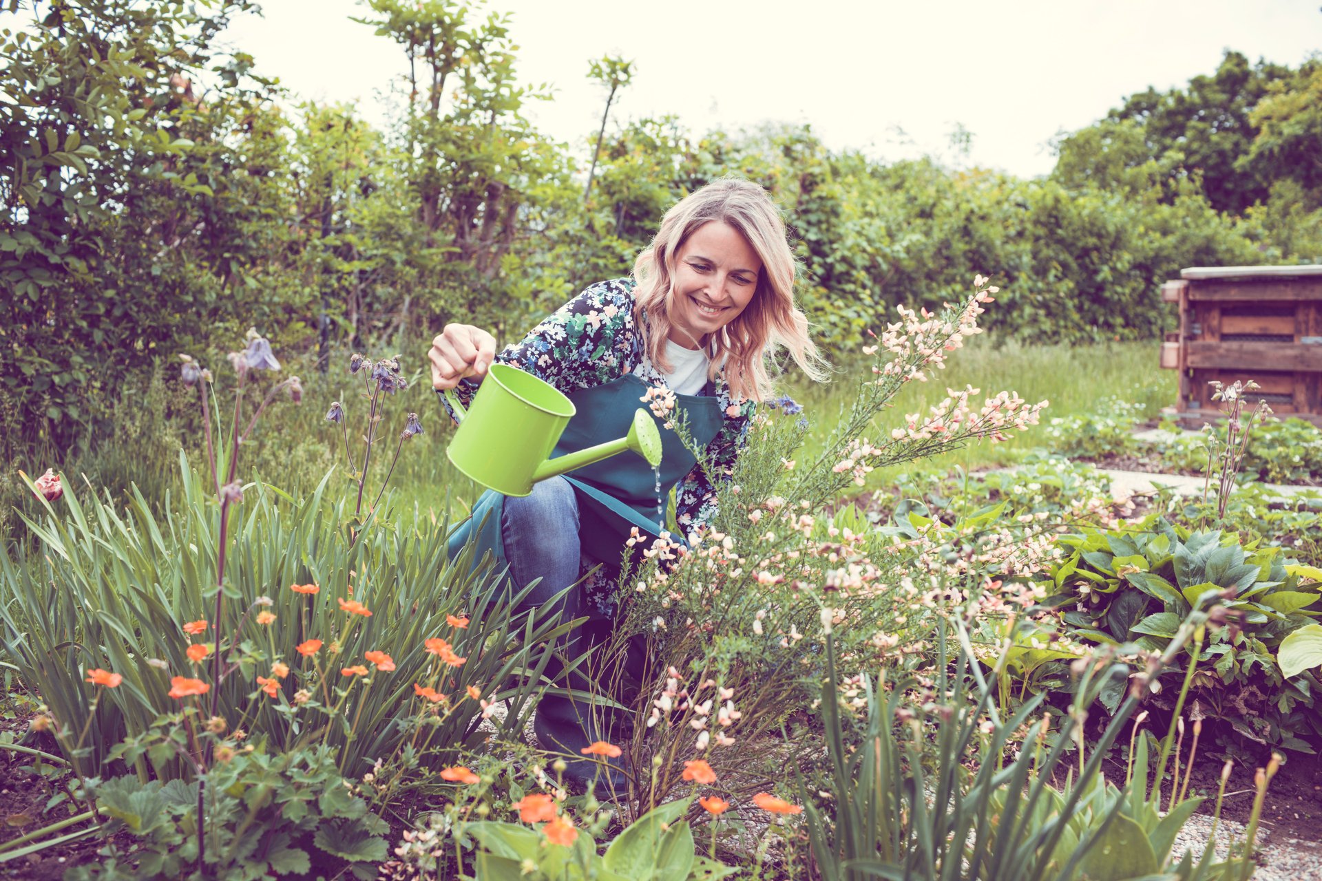 Tchibo verkauft jetzt den Gartenweg zum Mitnehmen – und Hobbygärtner ...