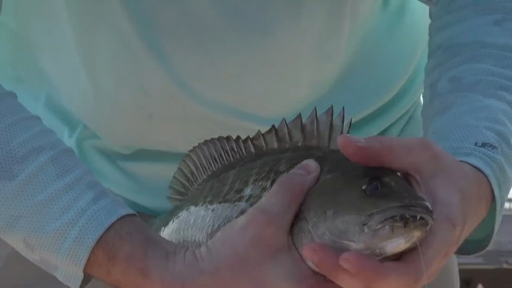 Danger fishing in America on a Jon boat in the Keys