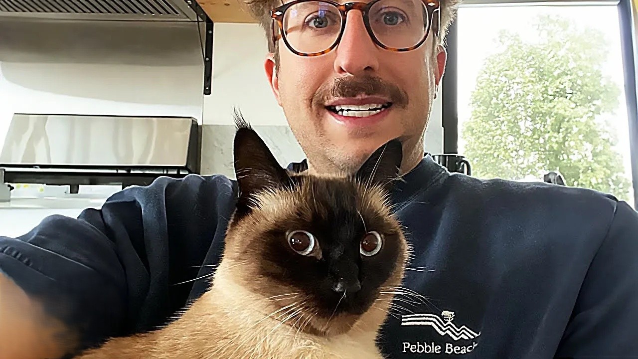 He didn’t want a cat - now they’re a two-person comedy show