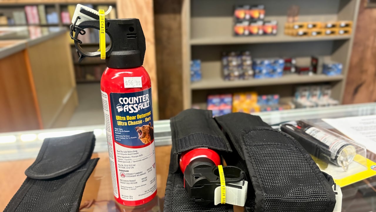 Hamilton police plan bear spray safety sessions as crimes involving ...