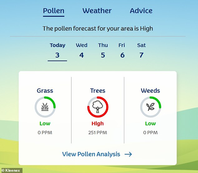 'Pollen bomb' warning as levels soar across the UK: Hay fever sufferers ...