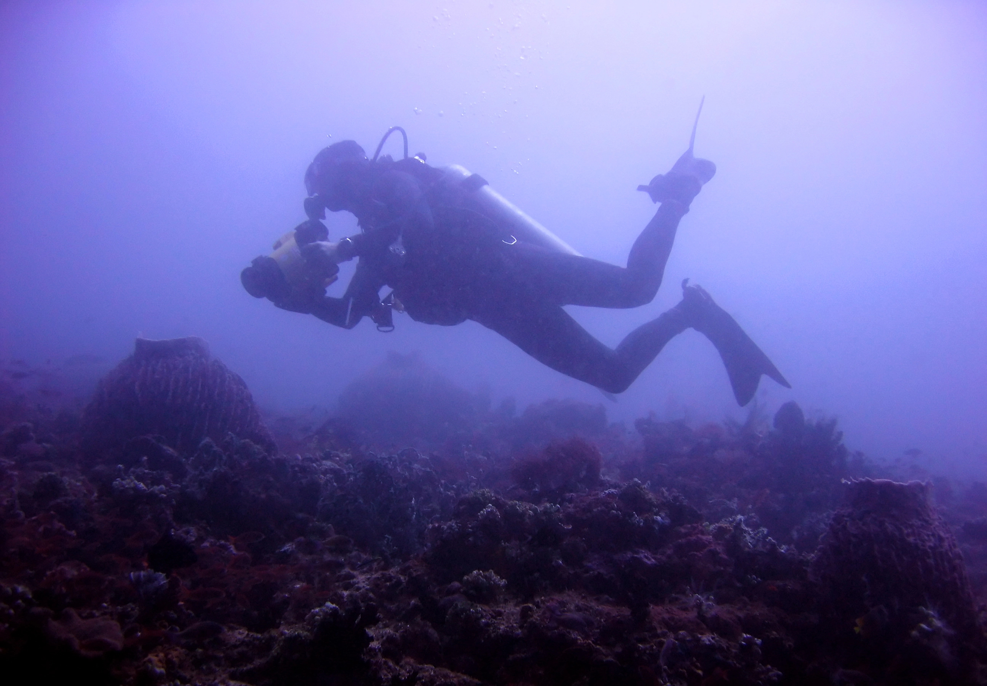 Deepest spots in the world’s oceans