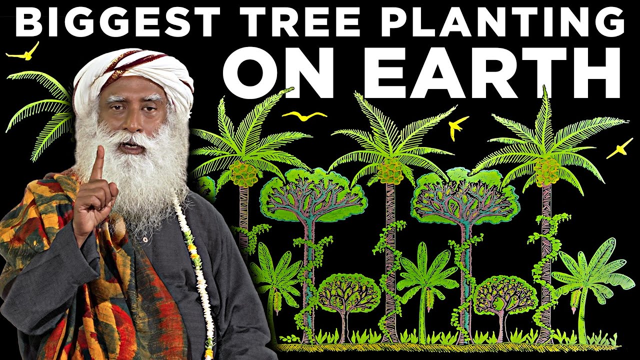 How planting 2.42 billion trees can change our planet