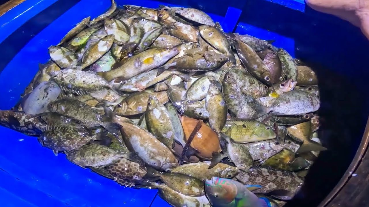 Jackpot inheritance right in front of our island