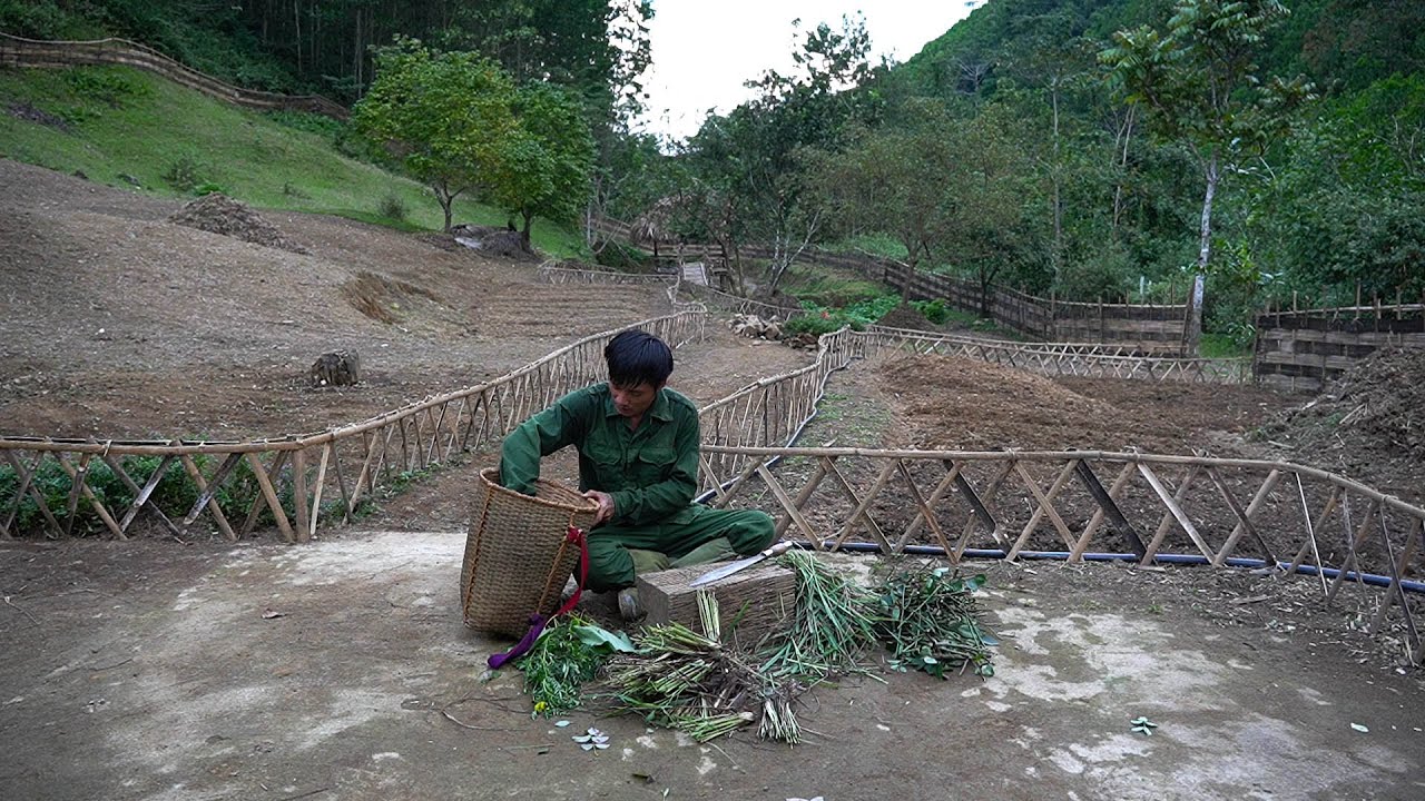 Transformasi lahan kosong menjadi surga hijau