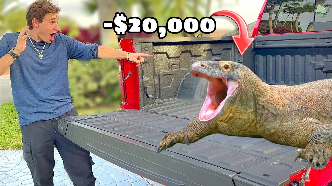 I spent $20,000 on incredible lizards!