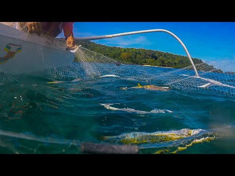 Net fishing: the full process