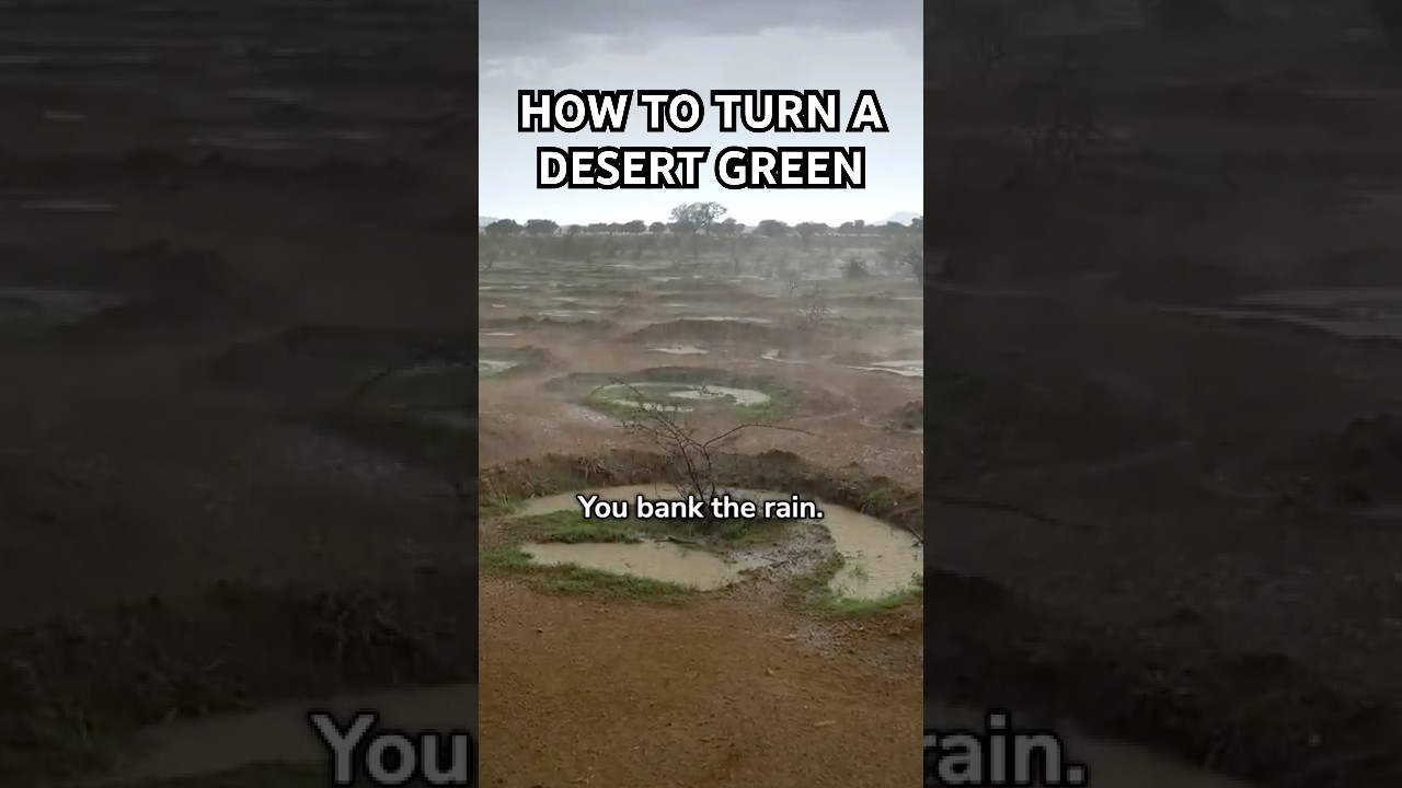 How to turn a desert green