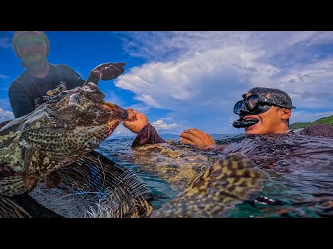 She struck luck with giant groupers, earning over $11,000 | Catch & sell