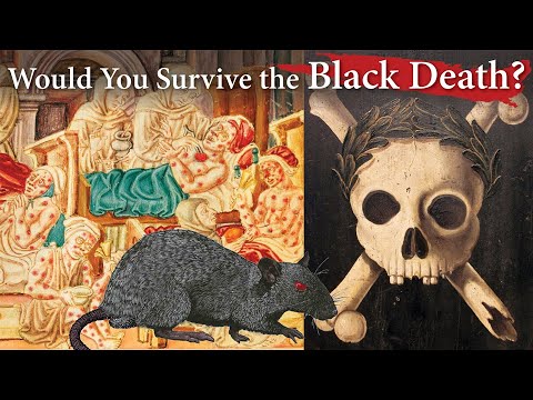 The Black Death & quarantining with The Decameron | A history of ...
