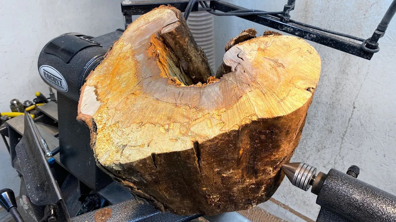 Rotten log to demented Pac-Man