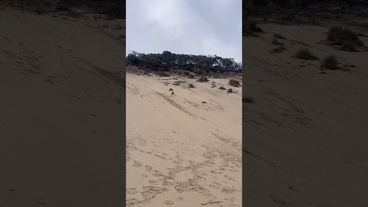 I conquered the toughest sand dunes! 🏖️