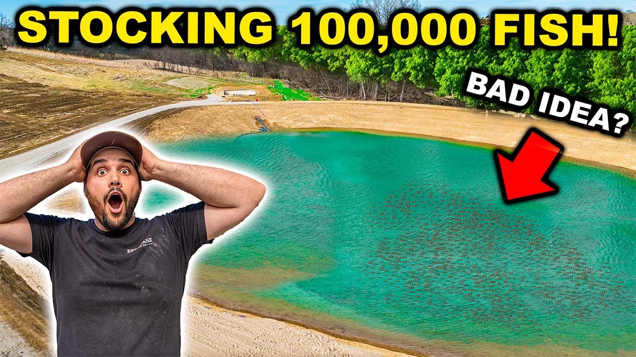 Backyard pond fish stocking: Surprise catch & cook