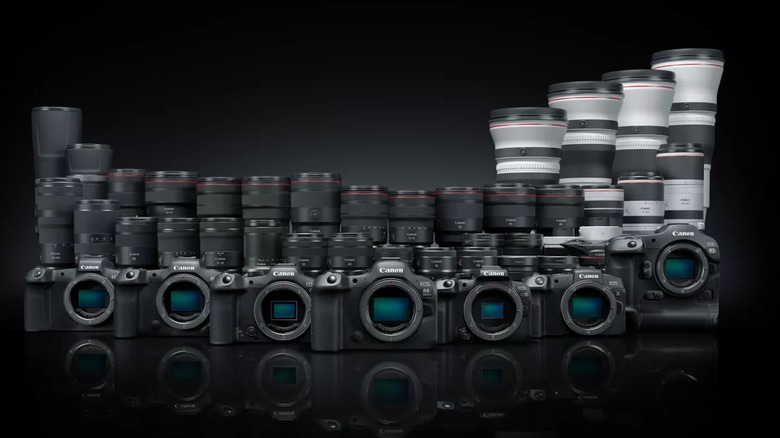 The 8 best Canon mirrorless cameras you can buy in 2026