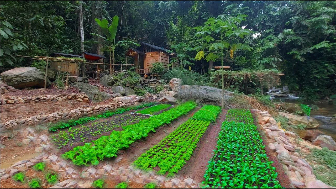 1 year off-grid in Vietnam: Gardening, flood dikes & cooking