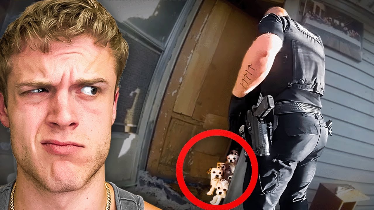 Man has 175 dogs in his house