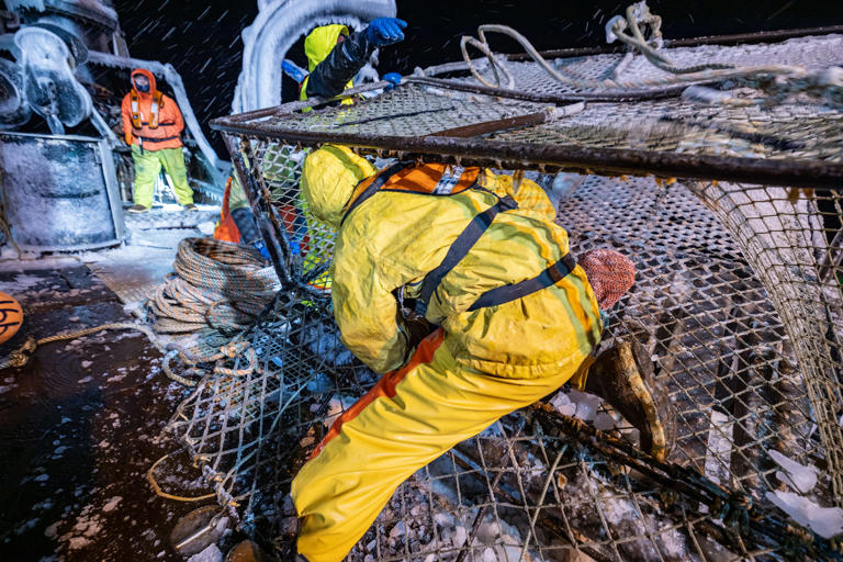 Todd Meadows, 'Deadliest Catch' star, dies at sea