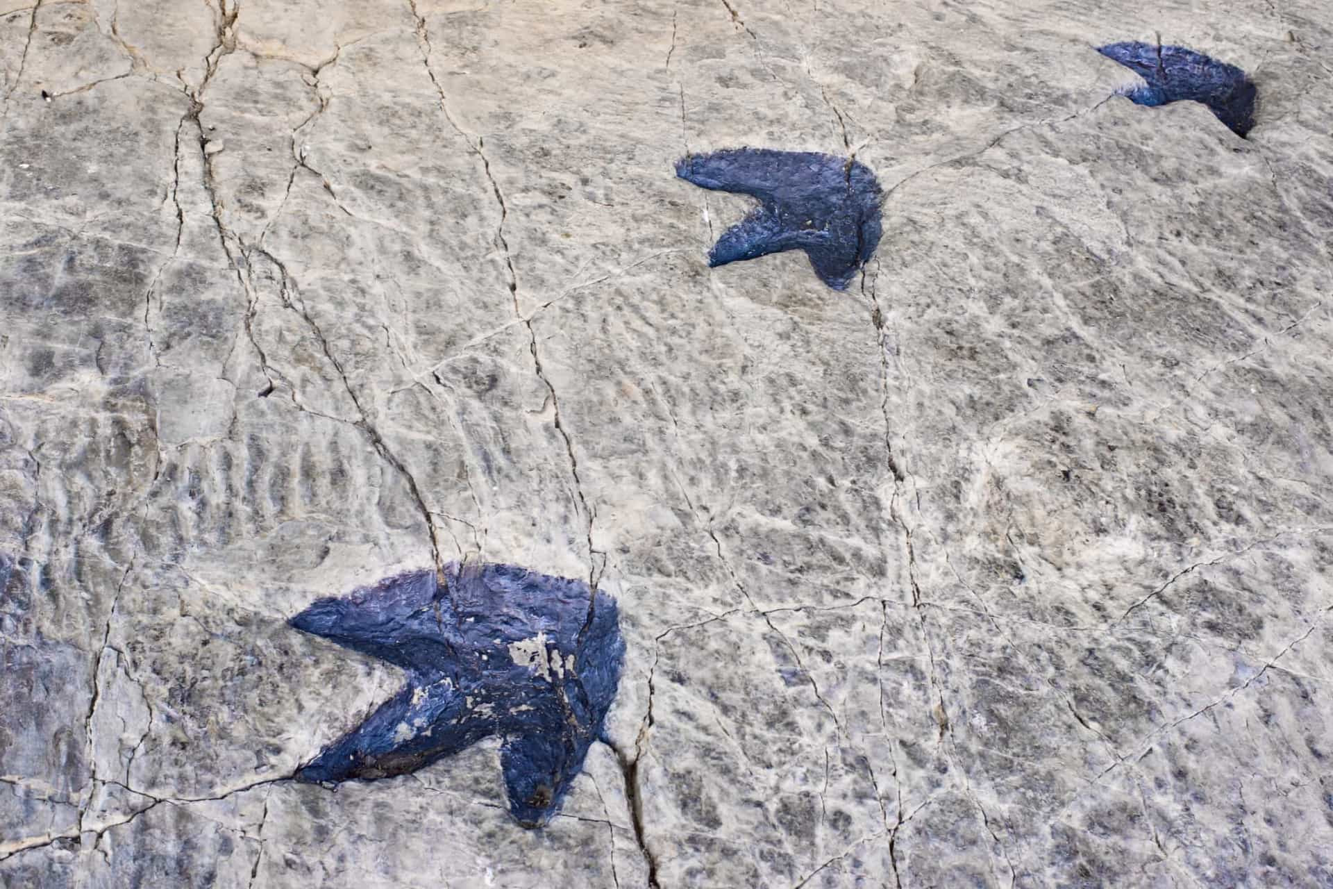 The best places around the world to see dinosaur tracks