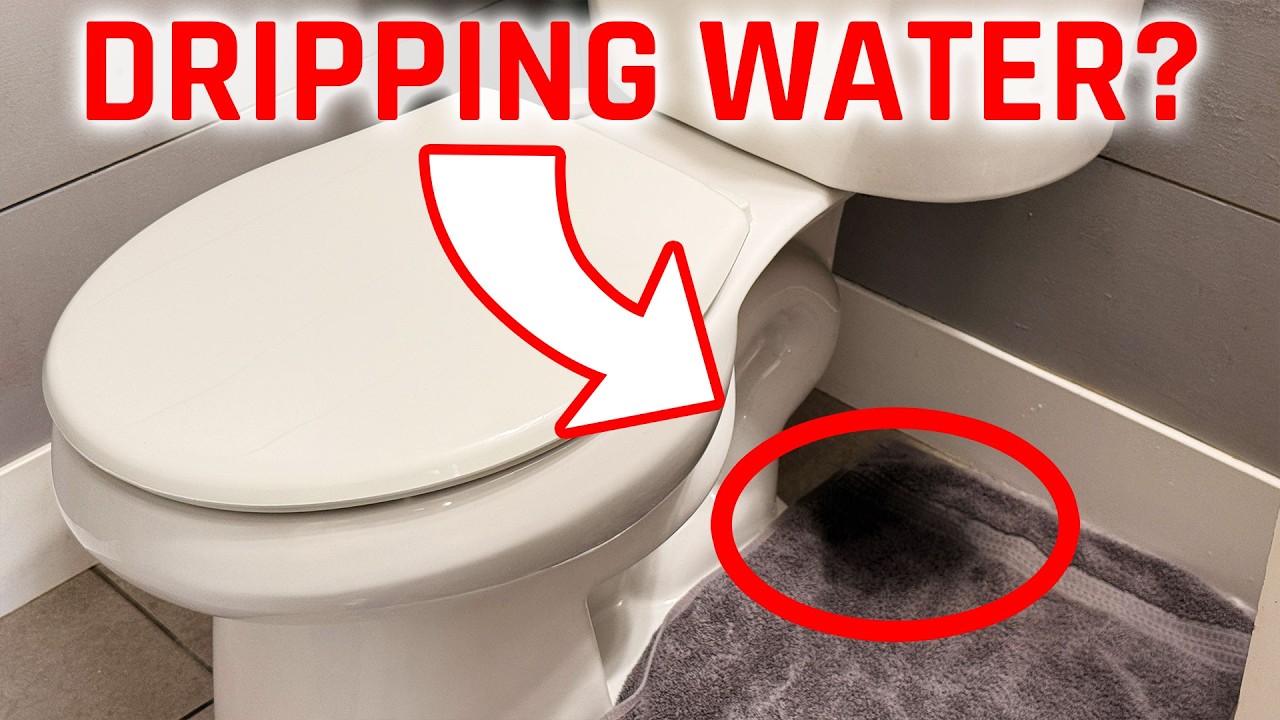 Toilet dripping water onto the floor? 10 minute DIY fix
