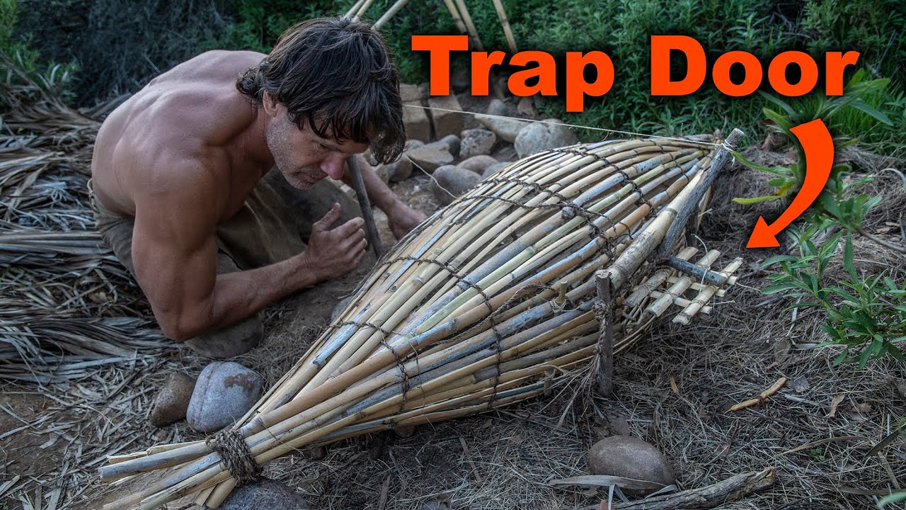 I built a primitive live rodent trap! 🐭