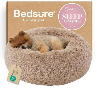5 tips to help your puppy sleep through the night