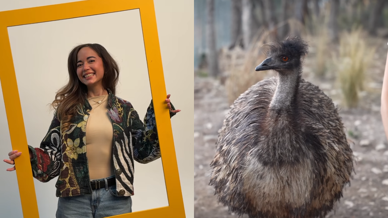 Streamer and animal conservationist Maya Higa is now working with ...
