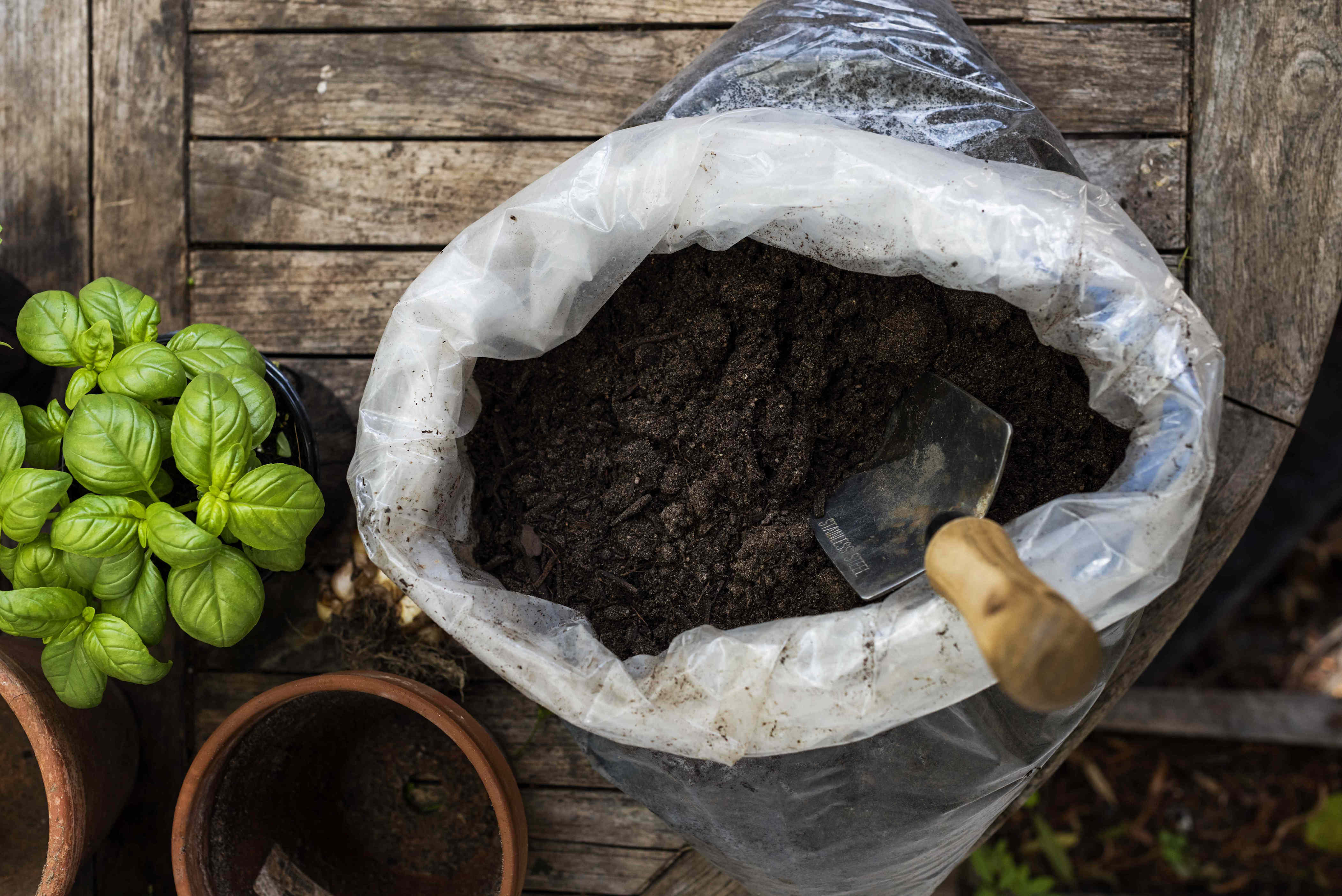 Does potting soil go bad? Plant experts explain