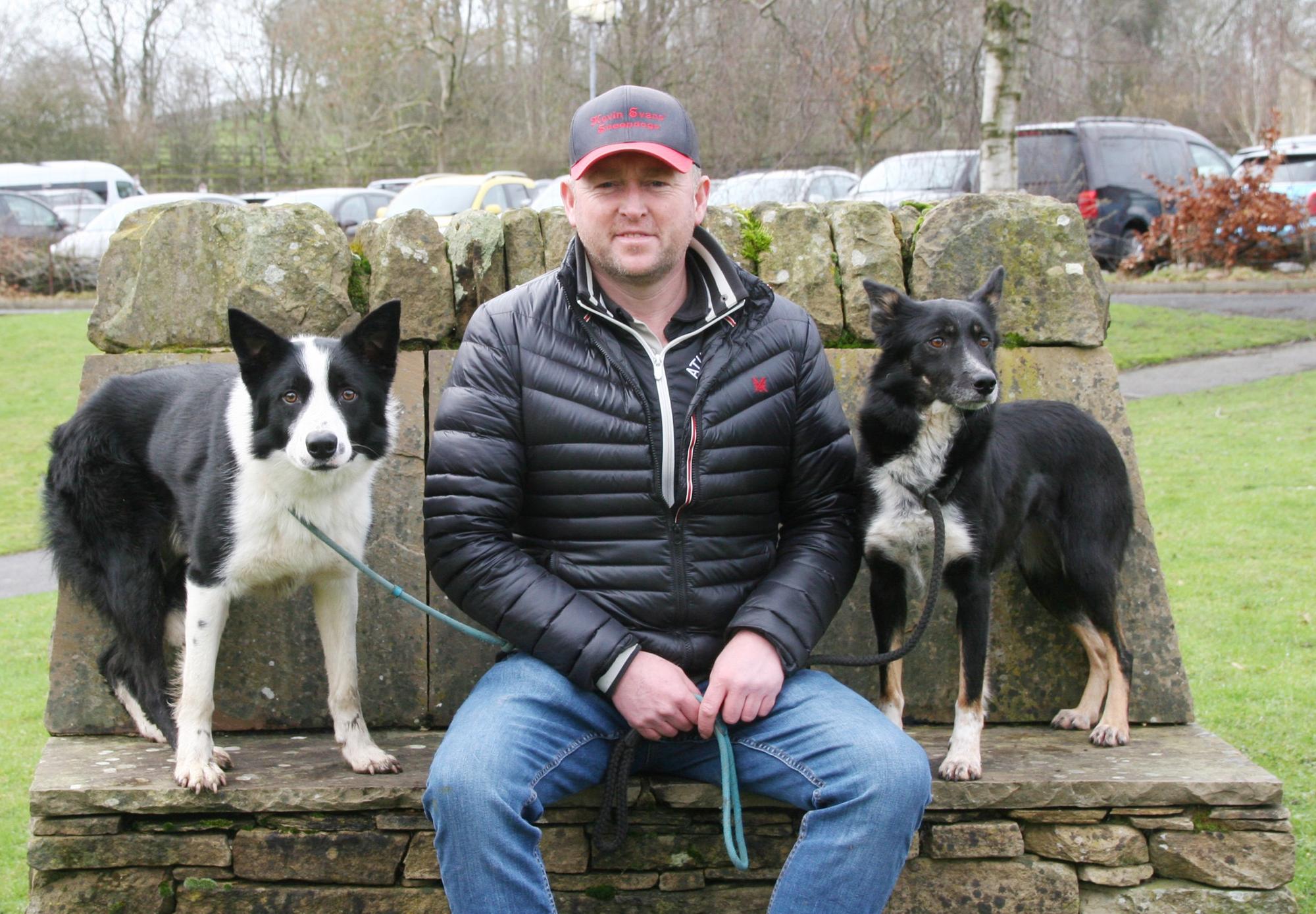 Kevin Evans hits double top at CCM working sheepdog live winter sale