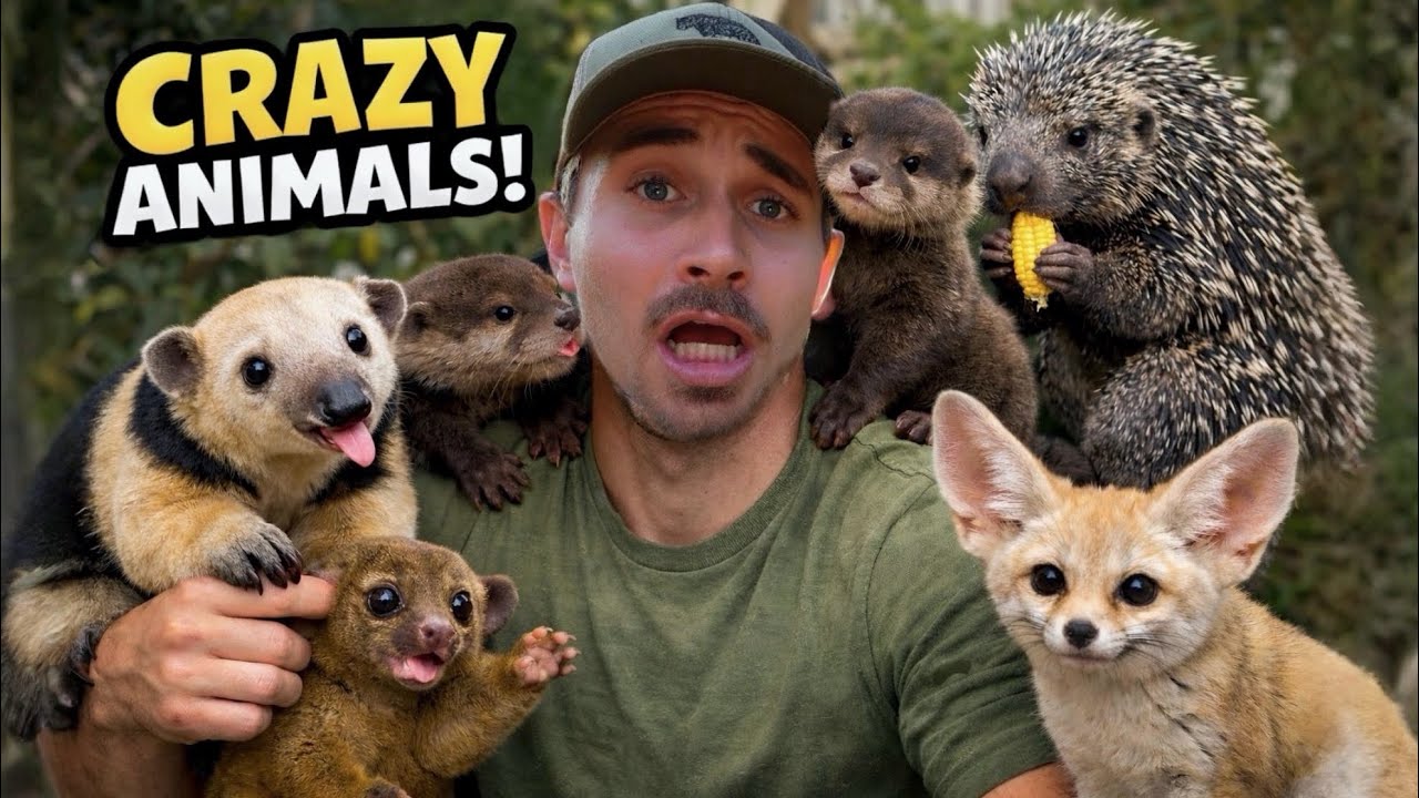 I let these animals take over!