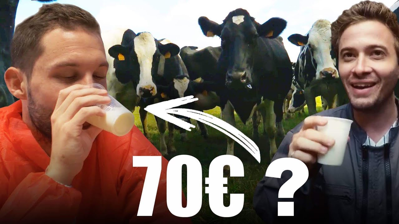 J’ai testé le lait à 0,70 € et à 70 € 🥛