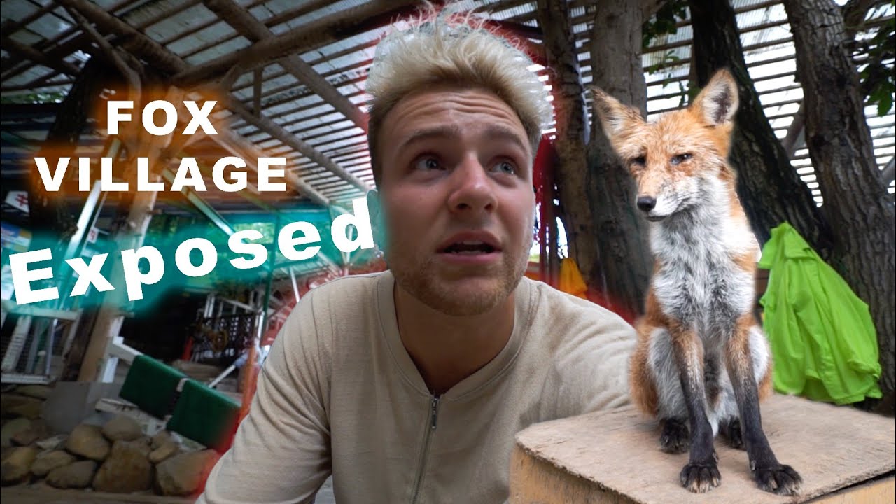 Exposing animal abuse - Fox Village in Japan