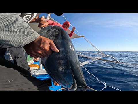 The biggest fish we caught on the longline | Catch & sell
