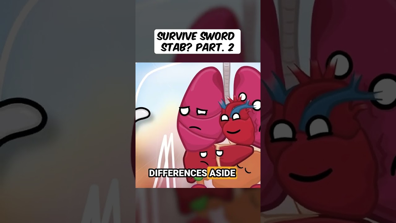 Uncover the mysteries of the human body!