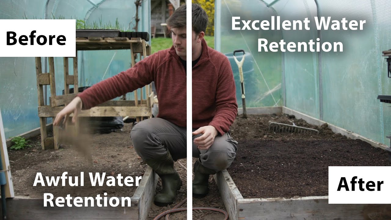 A gardener's guide to soil regeneration!
